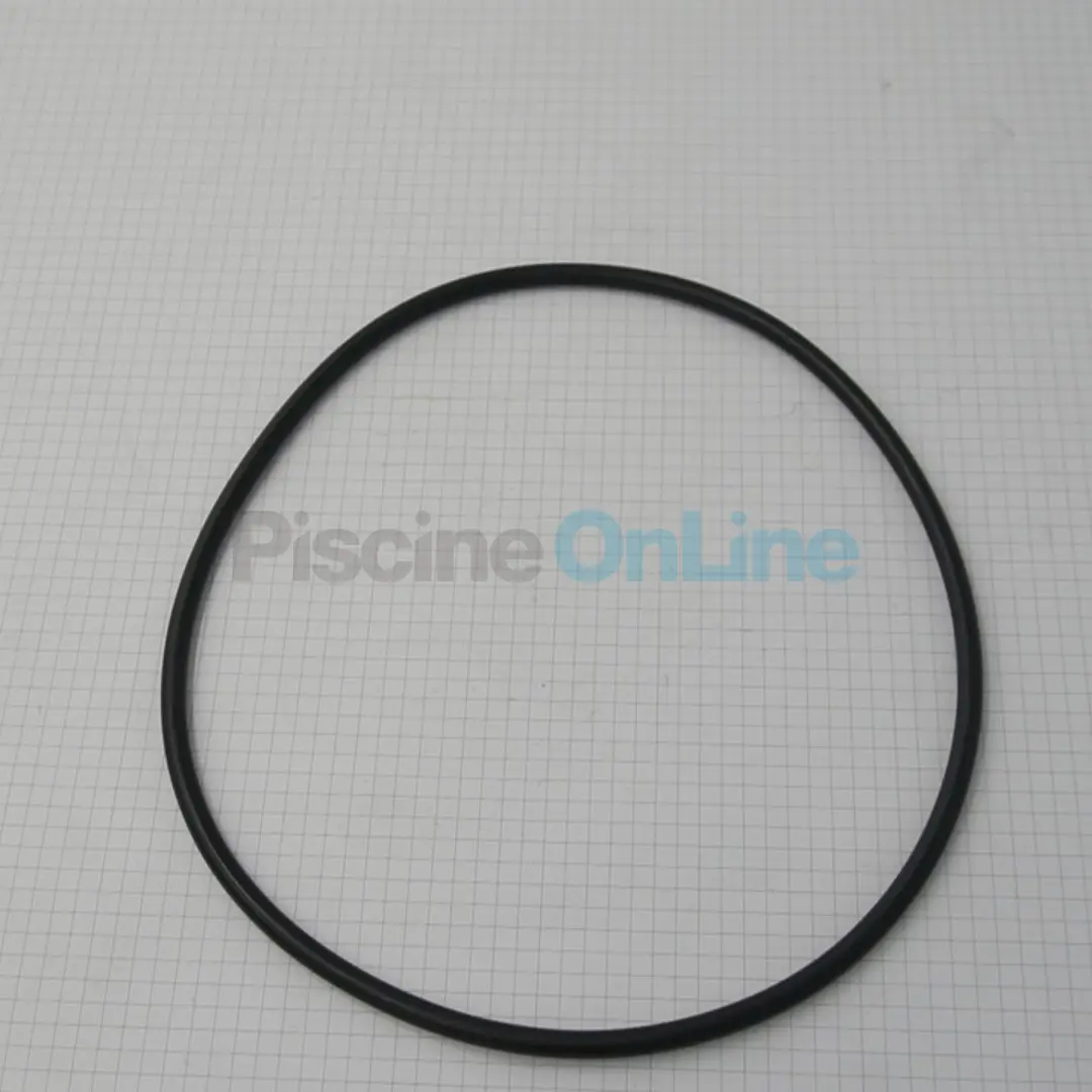 Joint de Corps pour pompes Pentair Pinnacle/Superflo/Supermax (R355619 ...