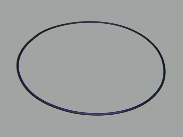 Joint de corps pour pompe Victoria (ASTRALPOOL)