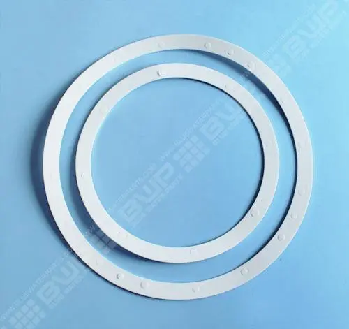 Kit joint de bride Proj Astral standard/PS 300W + joint de bride BdF Astral 2" liner Easyline ...