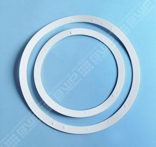 Kit joint de bride Proj Astral standard/PS 300W + joint de bride BdF Astral 2" liner Easyline ...