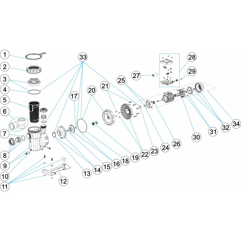 Pièces détachées pompe de filtration ASTRAL VICTORIA PLUS